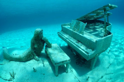 What to do when your piano has water damage | In Tune Piano Supply